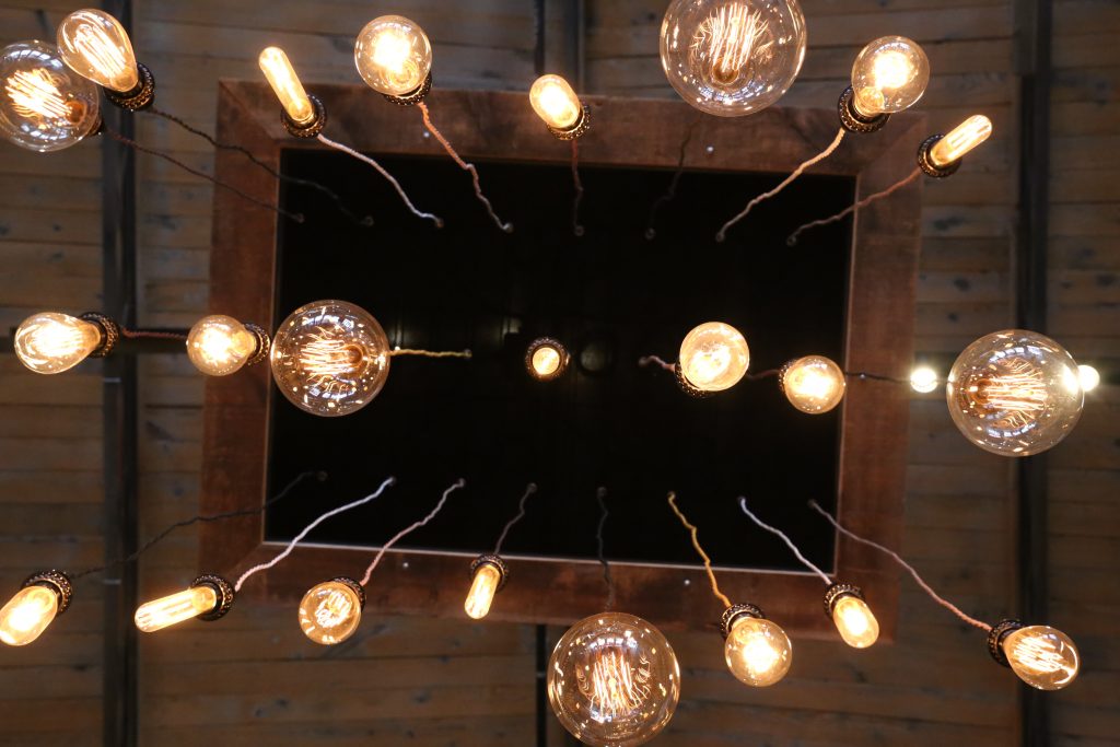 Old Edison Bulbs - Dream Lighting Company